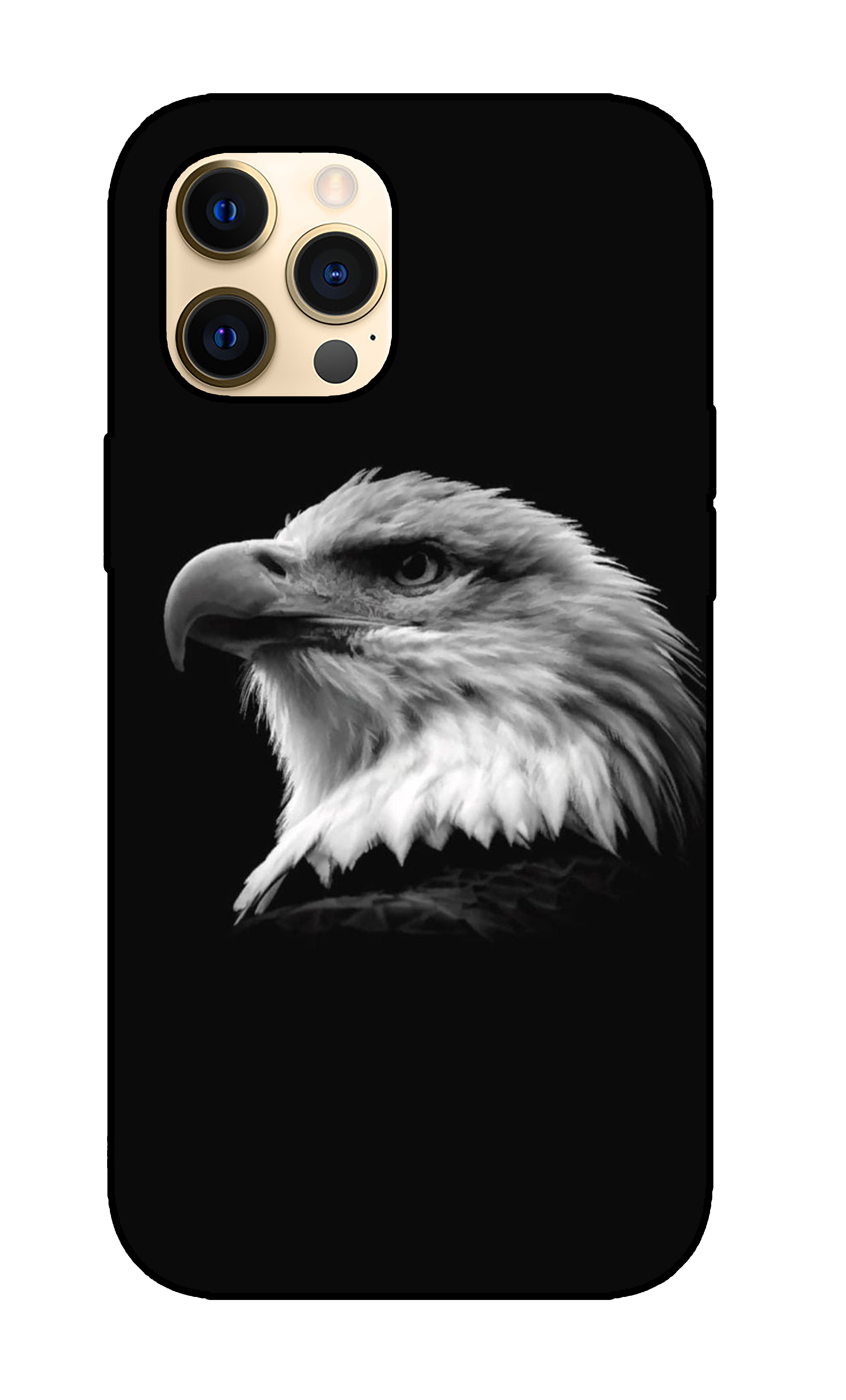 Eagle Case 2 – dKaseFactory